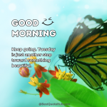 254+ Positive Good Morning Happy Tuesday Blessings
