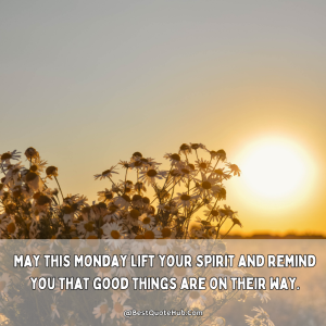 100 Happy Monday Motivation Images and Quotes for Good Day