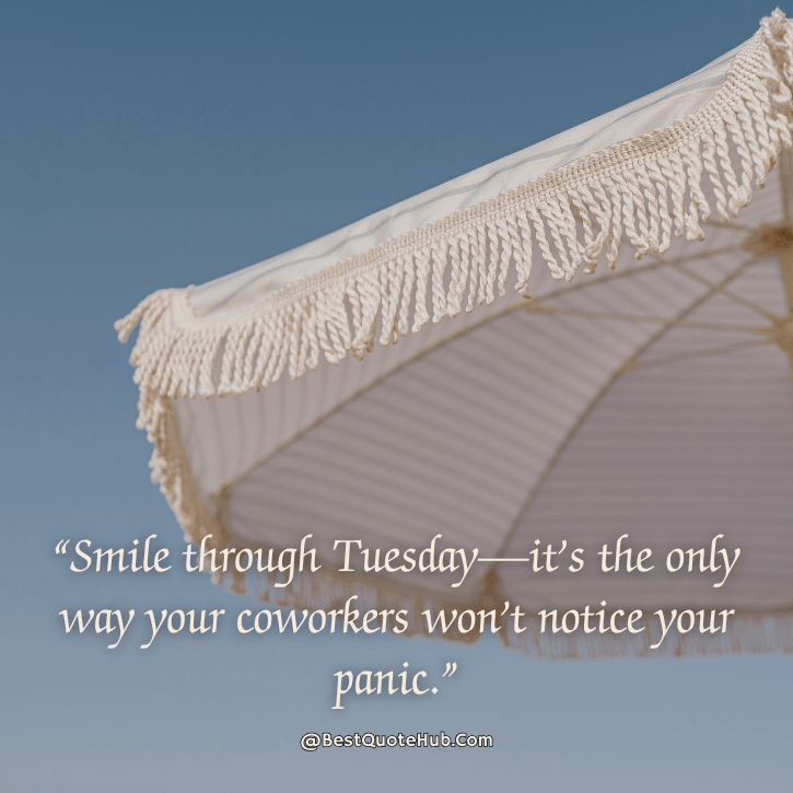 75 Beautiful Tuesday Motivational Quotes for Work